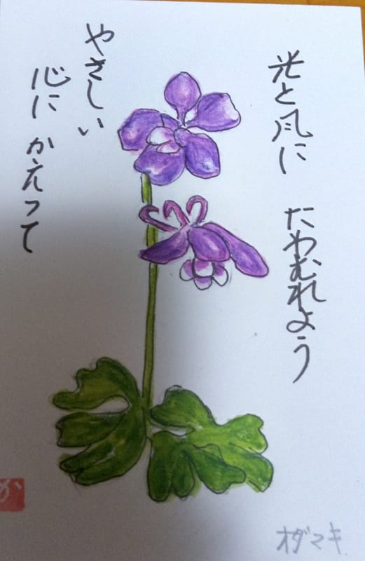 おだまき絵手紙 わすれな草さんのフォト 趣味人倶楽部しゅみーとくらぶ