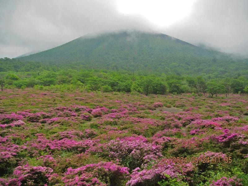 鹿ヶ原 高千穂河原 と白鳥山 えびの高原 5 24 三重の山男さんの日記 趣味人倶楽部しゅみーとくらぶ