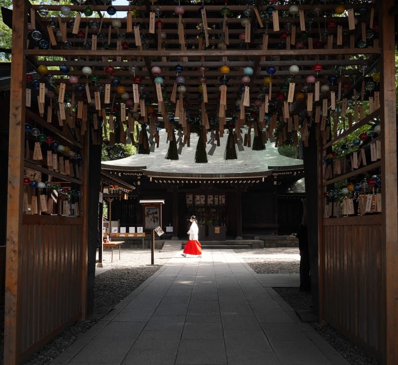 撮影日記 2024年7月 川越氷川神社 ヒサさんの日記 趣味人倶楽部しゅみーとくらぶ